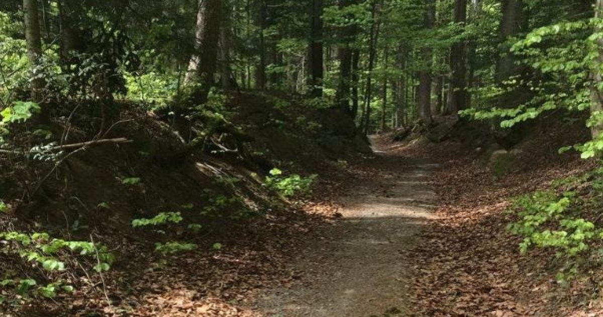 Ein Stück des Weges für Sandra mitgehen