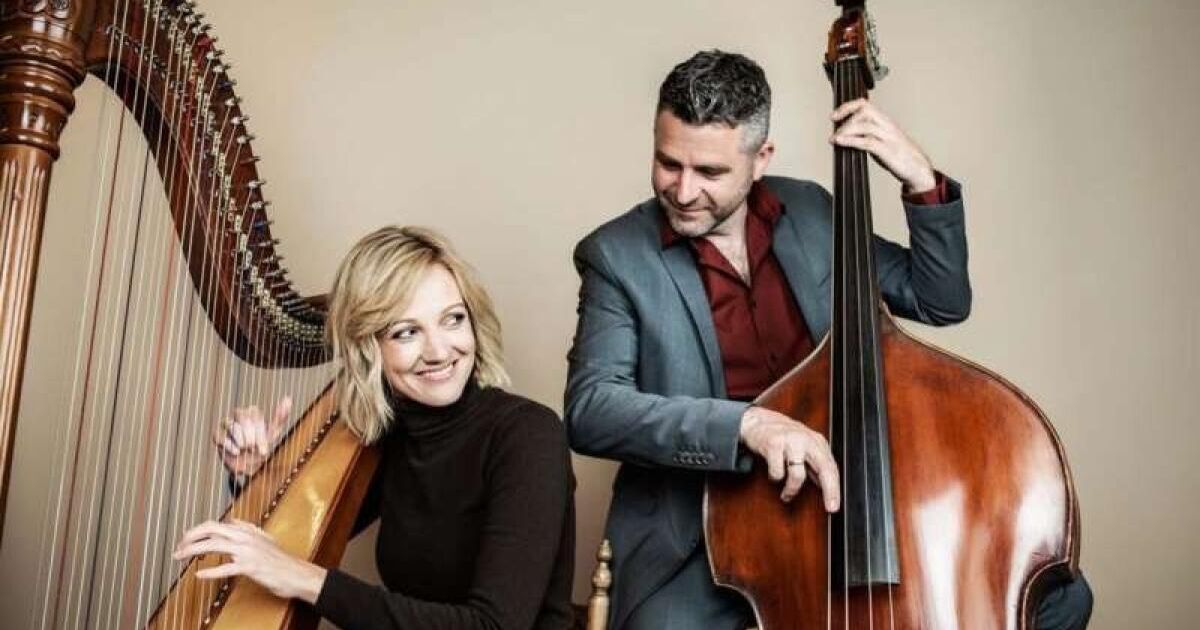 Virtuose Saitenmusik am Stefansplatzerl