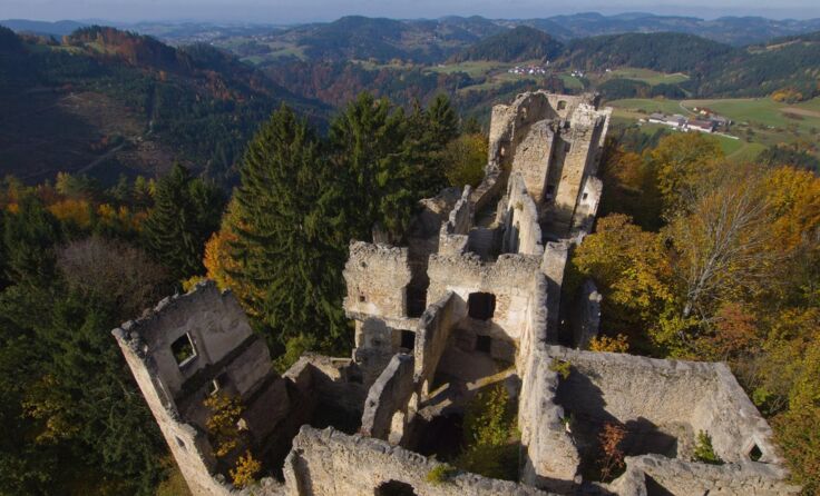 Naturtipp: Ruinen als Lebensraum