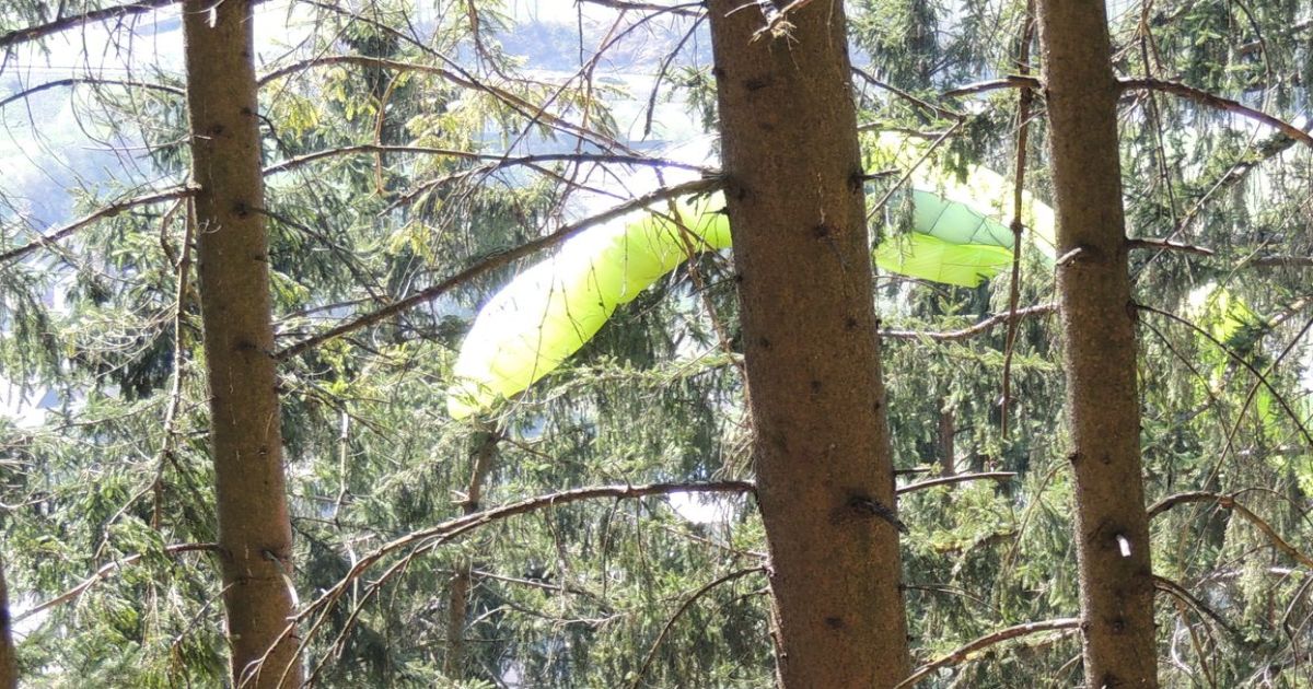 Feuerwehrer holten Gleitschirm-Piloten vom Baum