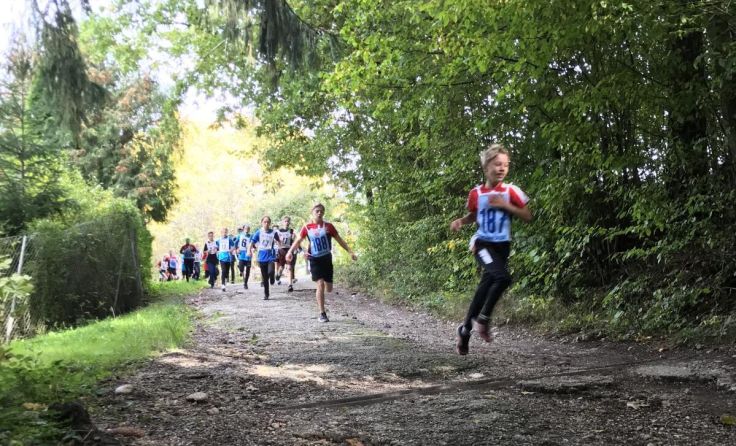 Flotte Cross Country-Teams qualifizierten sich für die Landesmeisterschaft