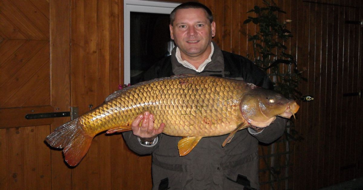 Angeln in der Region: Wenn die Gewässer erwachen