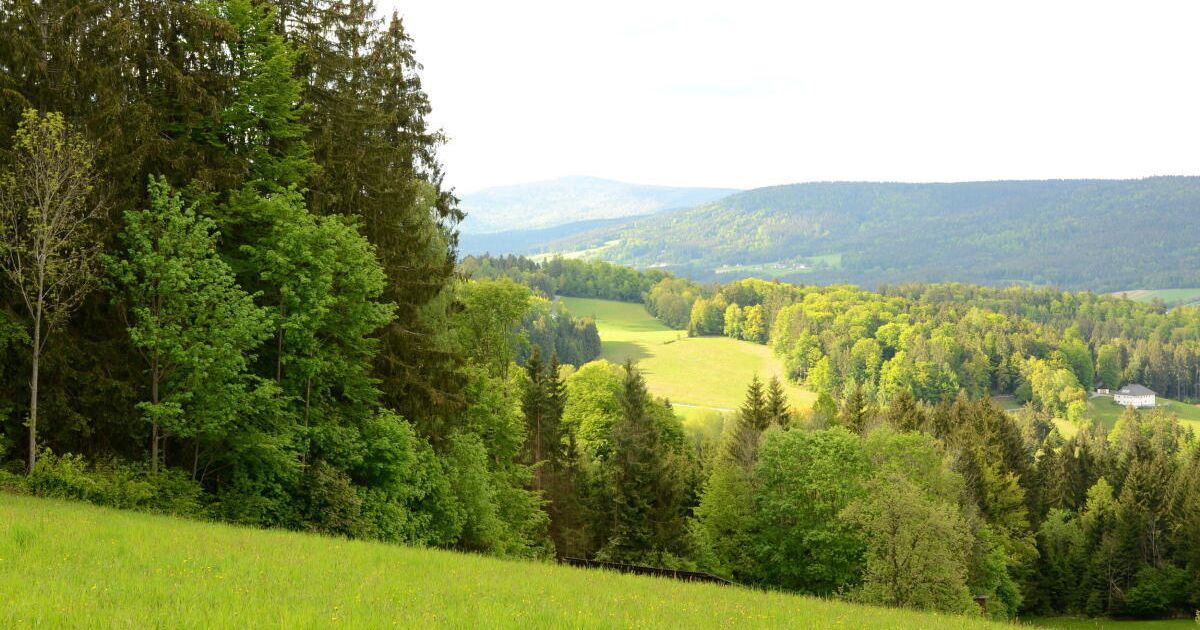 Wiesengebiete im Freiwald und Weinsberger Wald werden Europaschutzgebiet