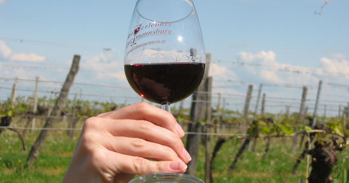 1. bis 4. August: Auf zum Internationalen Rotweinerlebnis Lutzmannsburg