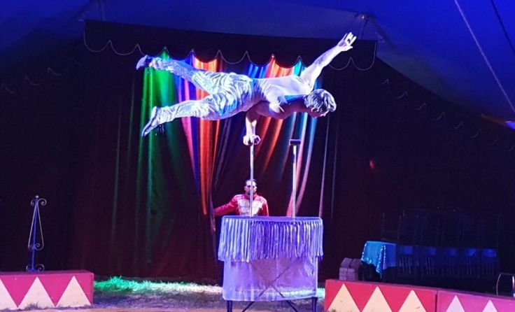 350-jähriges Jubiläum: Circus Althoff gastiert wieder in Andorf
