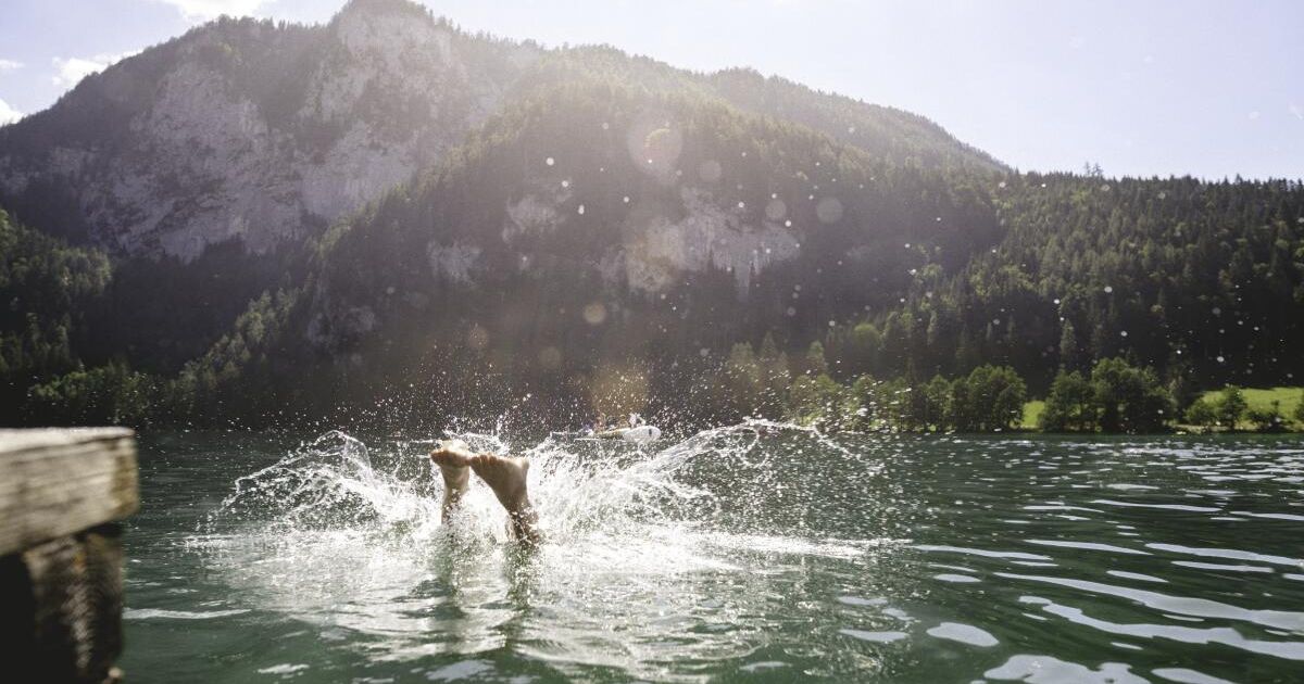Im Gleinkersee, Elisabethsee und Stausee Klaus herrscht ausgezeichnete ...