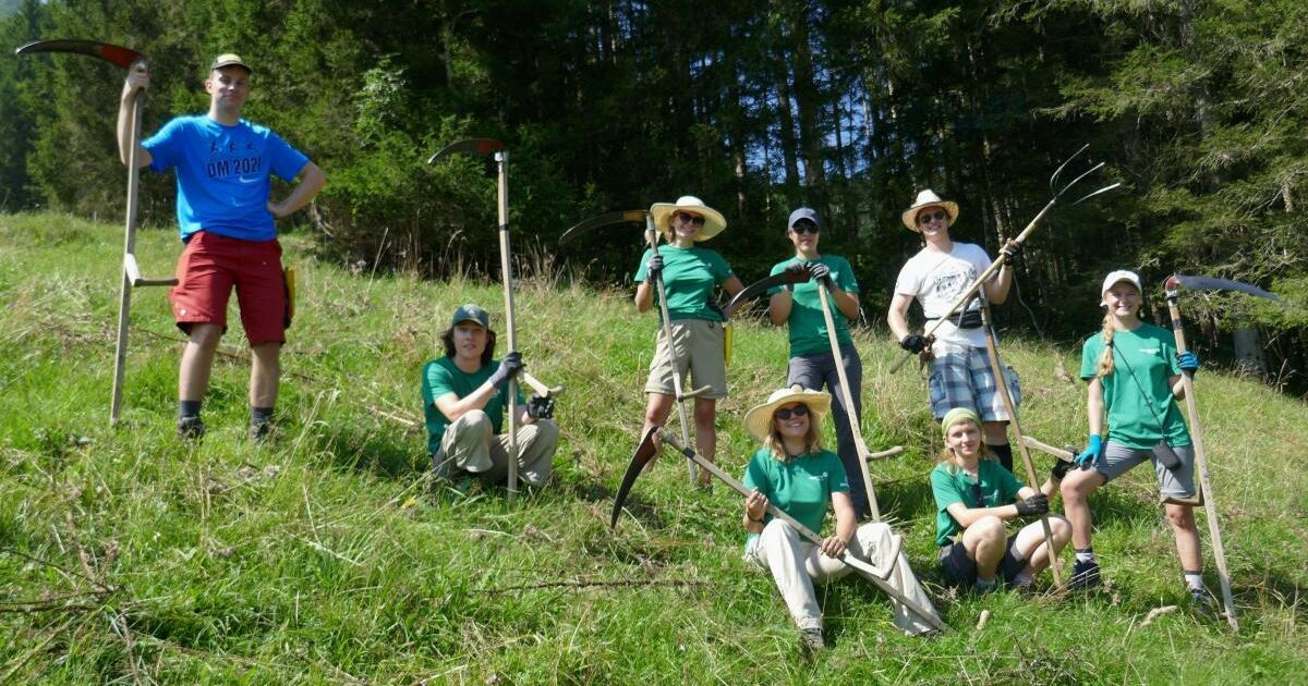 Mission Naturschutz: Bergwiesen heign in Molln