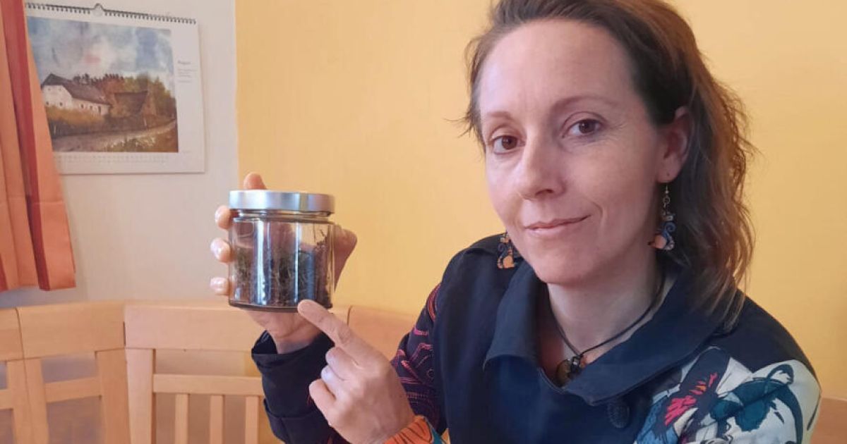 Medien-Rummel um Zwettlerin Sarah Seidel und "ihren" Skorpion: "Das ...