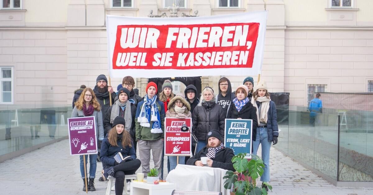 Junge Linke Protestieren Gegen Energiepreis Erhöhung