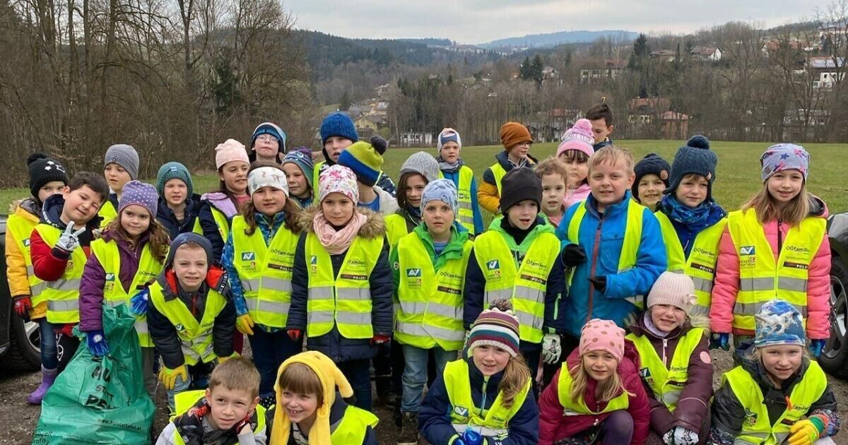 Osterhase hoppelt in Brunnenthal auf Wiesen ohne Müll