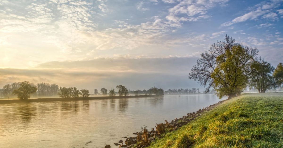 Update: Vermisster Jus-Student (26) wurde tot in Donau gefunden