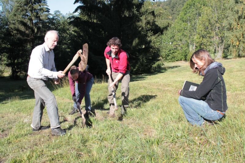 Für den Orchideenschutz überschreitet die Naturschutzjugend Grenzen