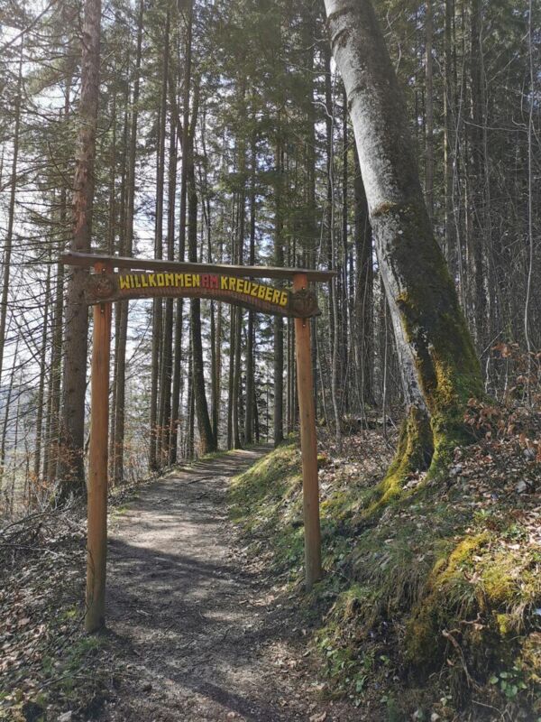 Forststraßenbau: Kreuzbergritter fürchten um Naturschutzgebiet