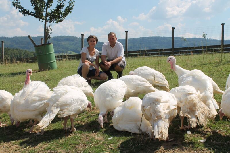 Gerlinde und Thomas Zauner aus Nußbach vermarkten Bio-Puten
