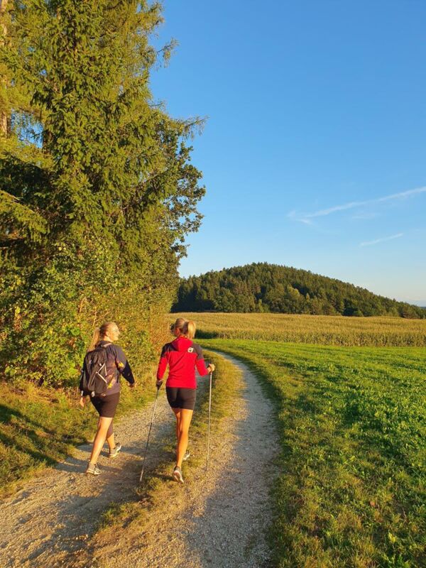 Wandern und Mountainbiken in Gutau