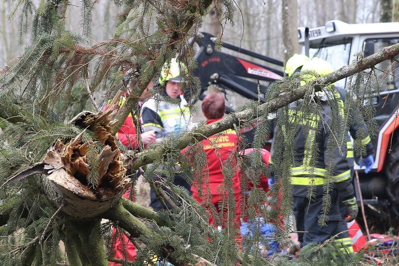 Mann aus St. Valentin von Baum eingeklemmt