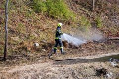 Waldbrände im Frühjahr: Eine unterschätzte Gefahr