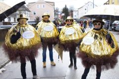 Narren in Bad Hall feierten bei Sonne, Regen und Schneefall