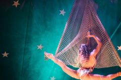 Circus Louis Knie kommt nach Steyr