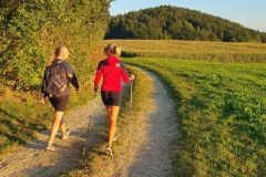 Wandern und Mountainbiken in Gutau