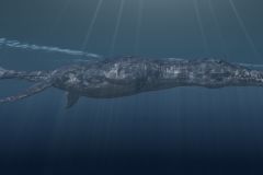 Pliosaurier-Nachweis im Salzkammergut entdeckt