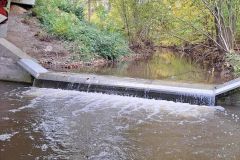 Flusskrebssperre schützt heimische Steinkrebse im Naturpark Attersee ...