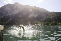 Im Gleinkersee, Elisabethsee und Stausee Klaus herrscht ausgezeichnete ...