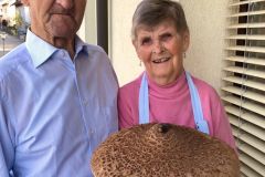 Leser-Schnappschuss aus Walding: Riesen-Parasol mit 32 Zentimeter ...