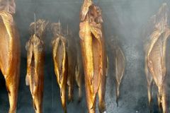 Mehr Fisch auf den Tisch