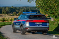 Emil, der Elch, zieht weiter durch Oberösterreich