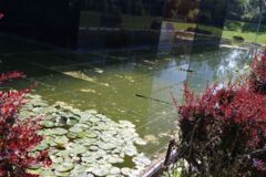 Schnüre über Teich in Wels-Vogelweide sorgen für heftige Kritik