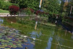 Schnüre über Teich in Wels-Vogelweide sorgen für heftige Kritik