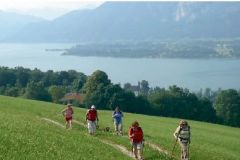 Am Tannenweg rund um den Lackenberg